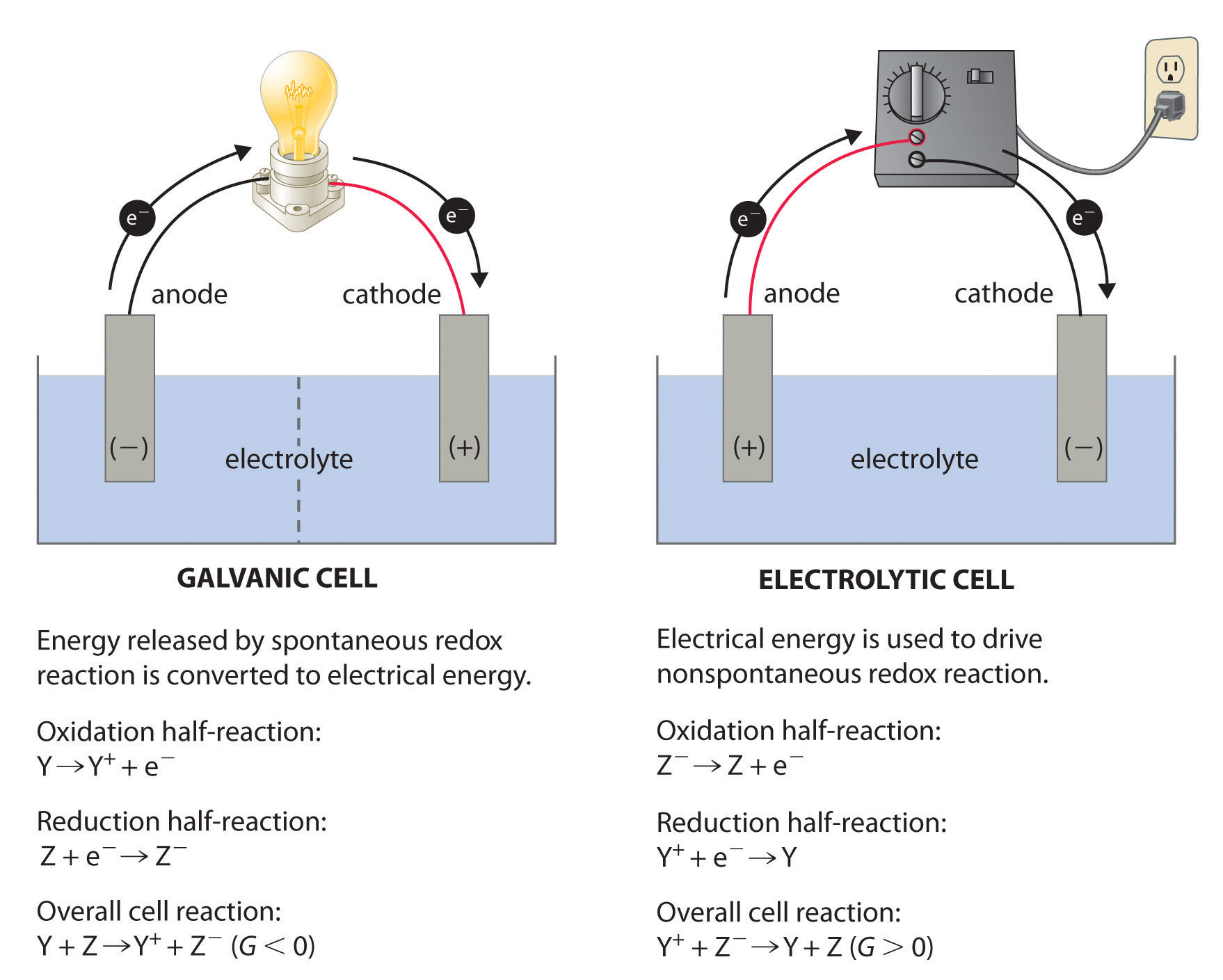 Describing Electrochemical Cells Describing Electrochemical Cells
